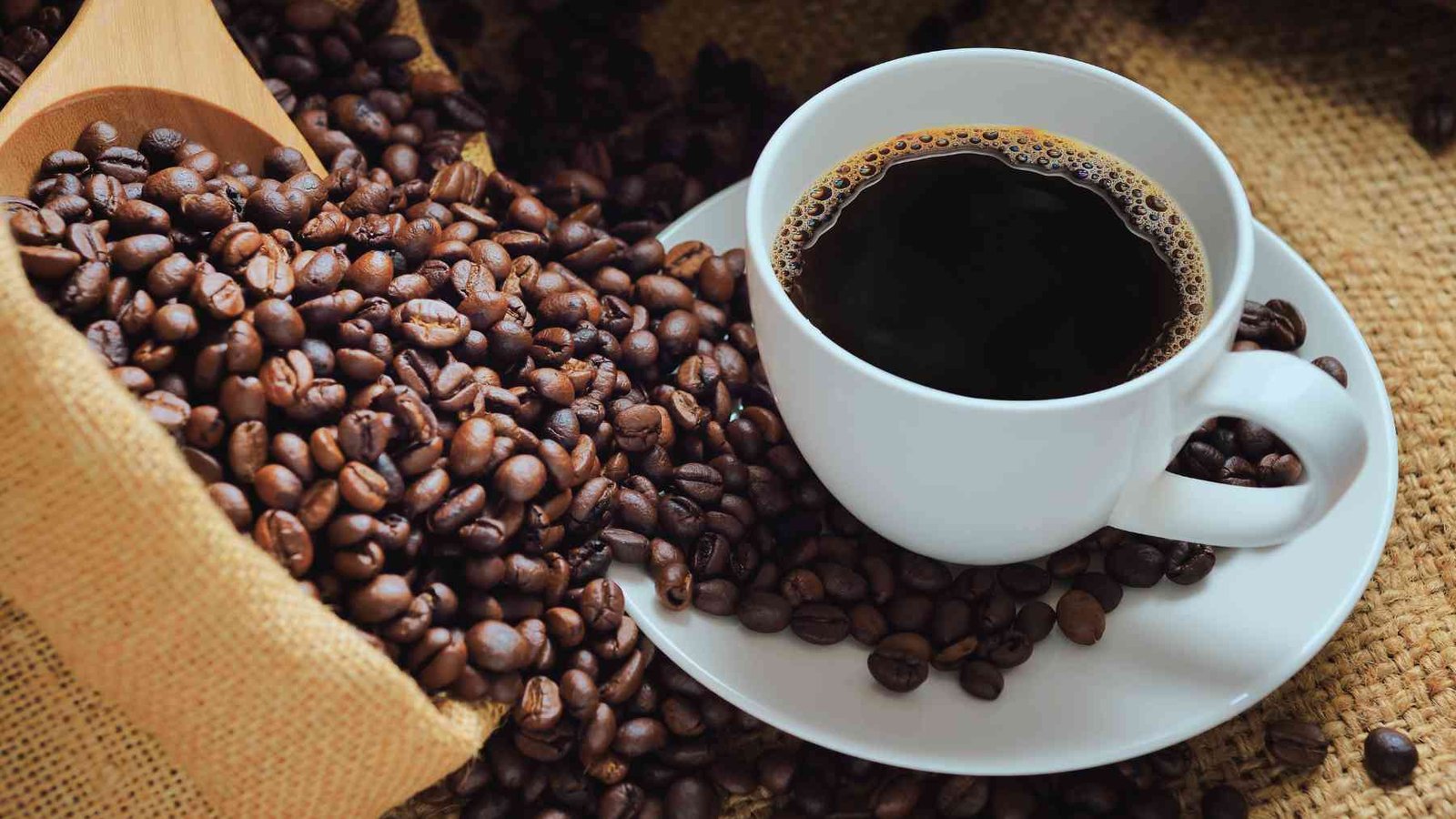 Cuál Es El Mejor Café En Grano Que Ofrece OCU Y Por Qué